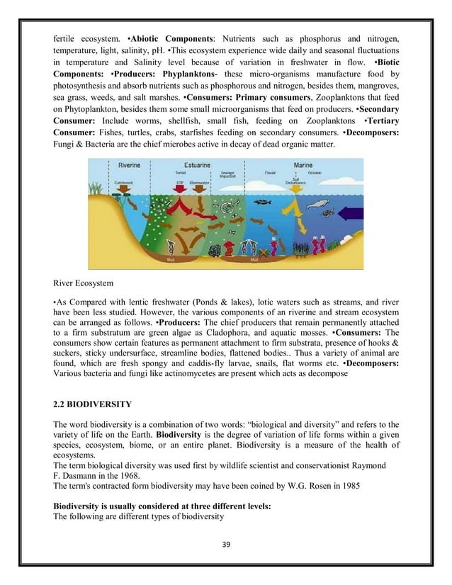 What is ecosystem? What is ecological pyramids ? and its types? What is ...