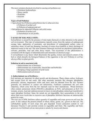 What is ecosystem? What is ecological pyramids ? and its types? What is ...