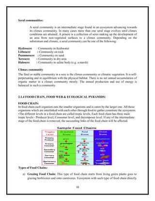 What is ecosystem? What is ecological pyramids ? and its types? What is ...