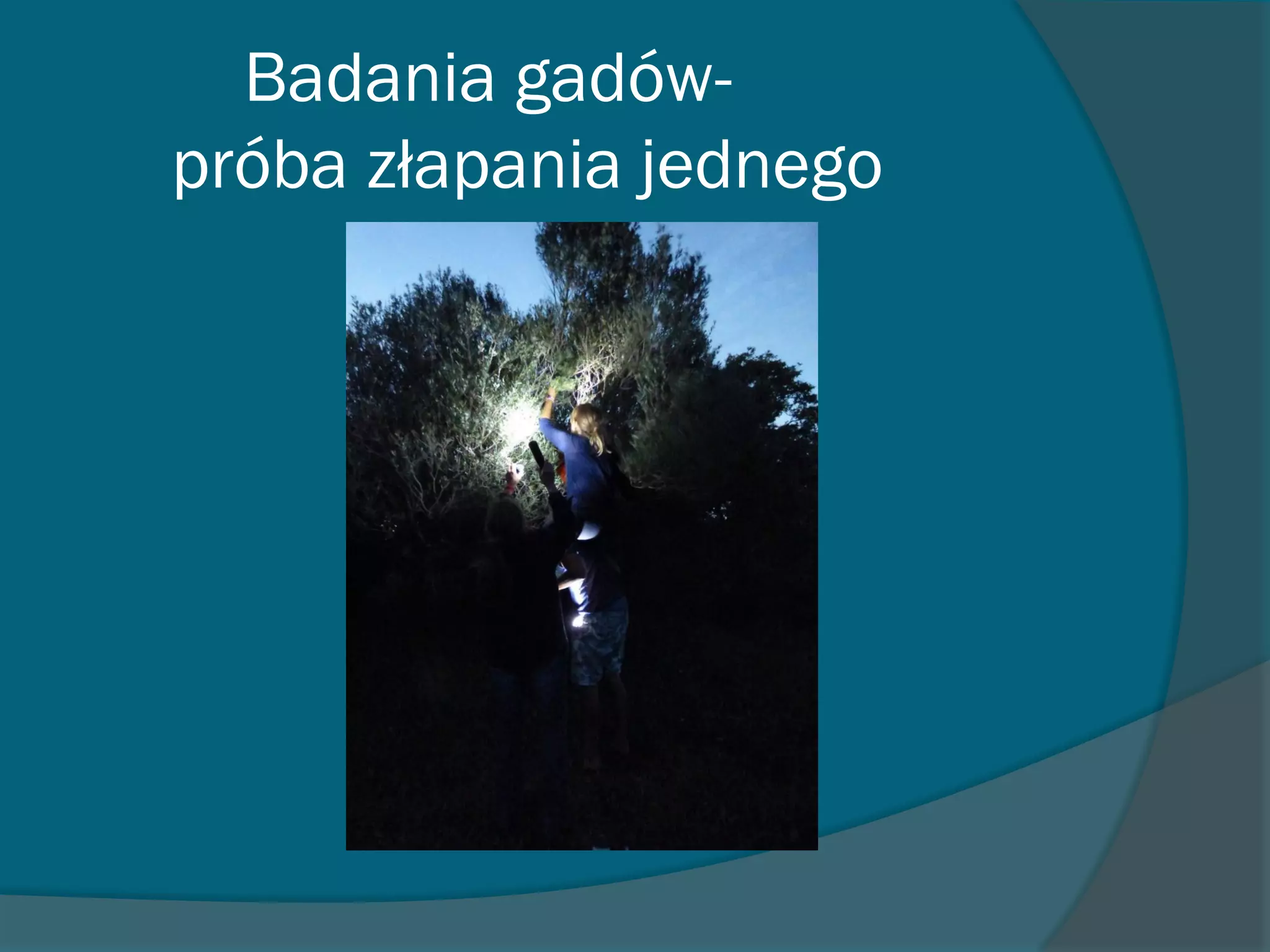 Evs Archipelagos | PDF