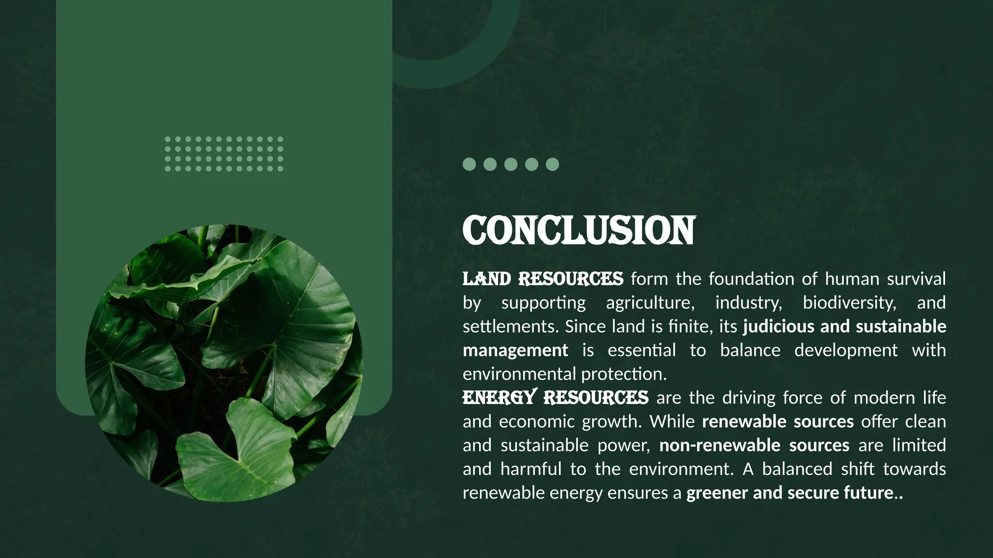 evsonlandandenergyresourcesrenewableandnonrenewable.pptx