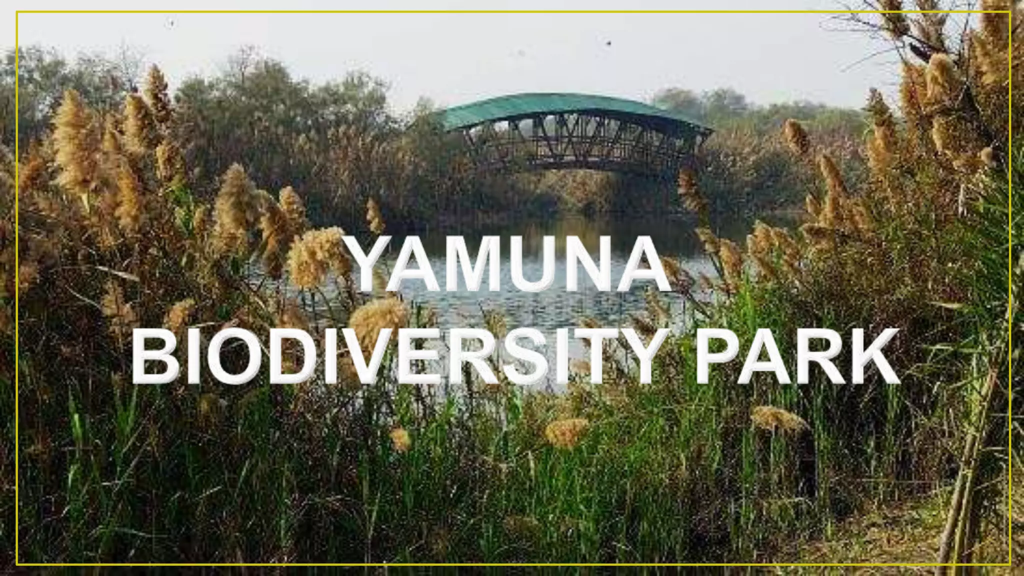 Biodiversity parks of Delhi | PPTX