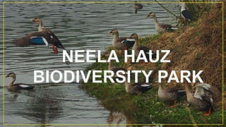 Biodiversity parks of Delhi | PPTX