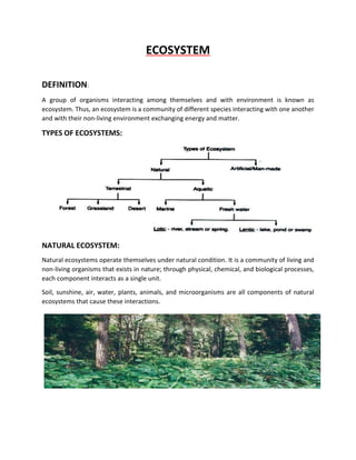 Grassland ecosystems | DOCX | Gardening | Home & Garden