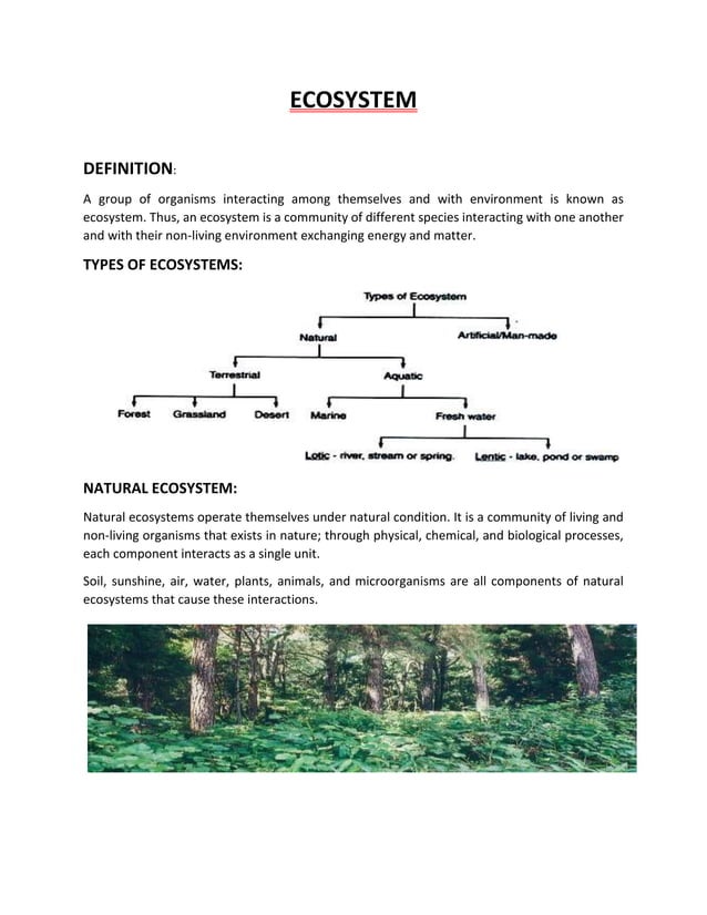 Grassland ecosystems | PDF