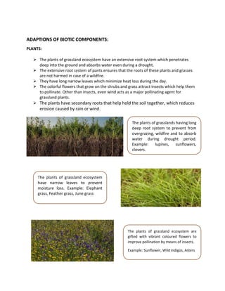 Grassland ecosystems | DOCX