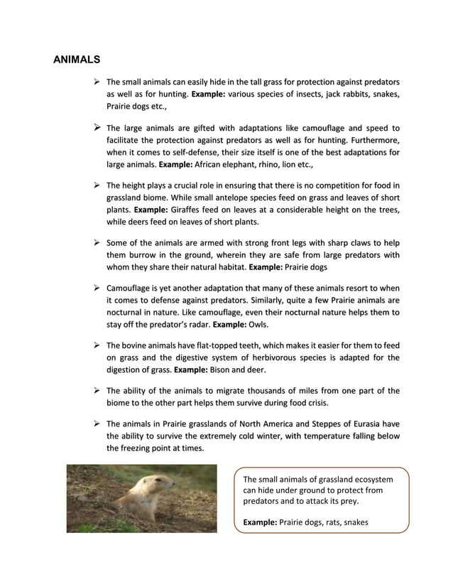 Grassland ecosystems | PDF
