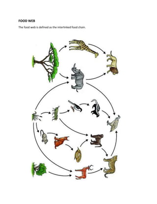 Grassland ecosystems | DOCX | Gardening | Home & Garden