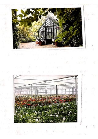 EVS Workshop file by Simanchala Sarab(Sem-3, ITEP, GNDU) | PDF