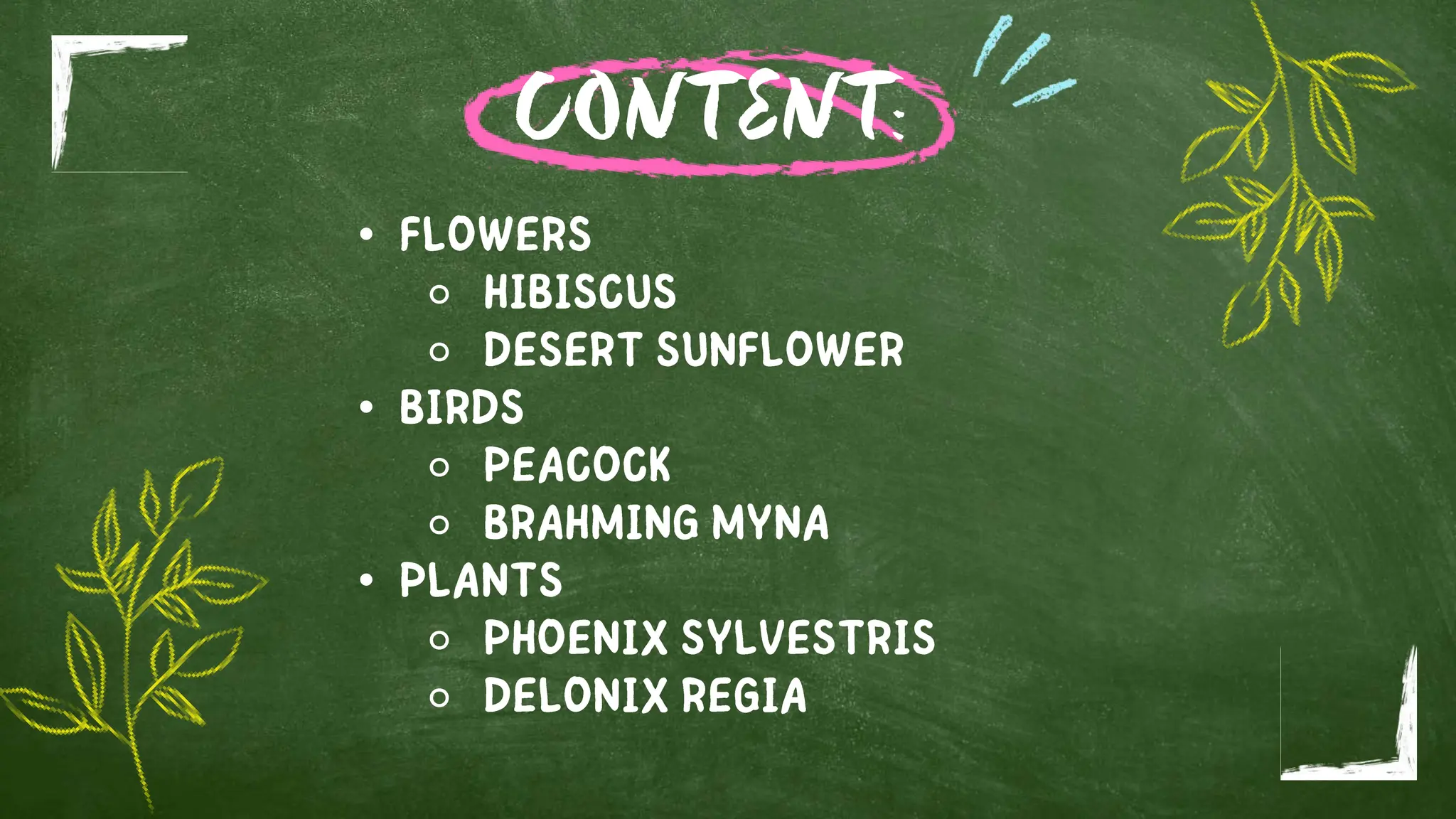 EVS_ASSIGNMENT_GRP 13 (2).pptx