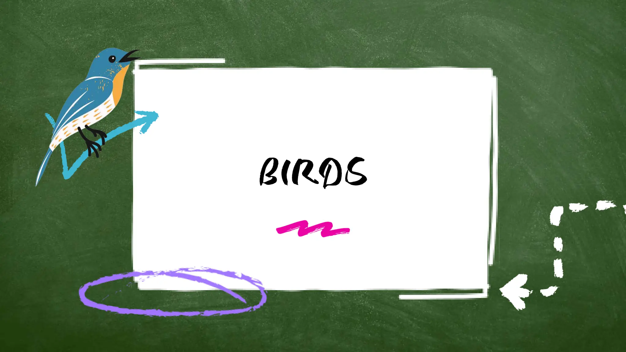 EVS_ASSIGNMENT_GRP 13 (2).pptx