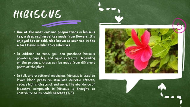 EVS_ASSIGNMENT_GRP 13 (2).pptx