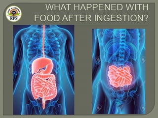 EVS CLASS 5 CHAPTER 3 FROM TASTING TO DIGESTING | PPTX