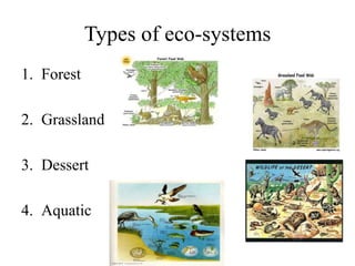 ENVIRONMENTAL STUDIES | PPT
