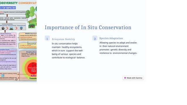 evs final presantation for collage view ppt.pptx