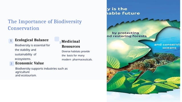 evs final presantation for collage view ppt.pptx