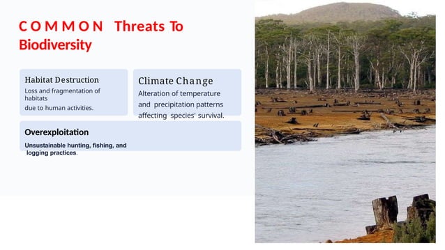 evs final presantation for collage view ppt.pptx