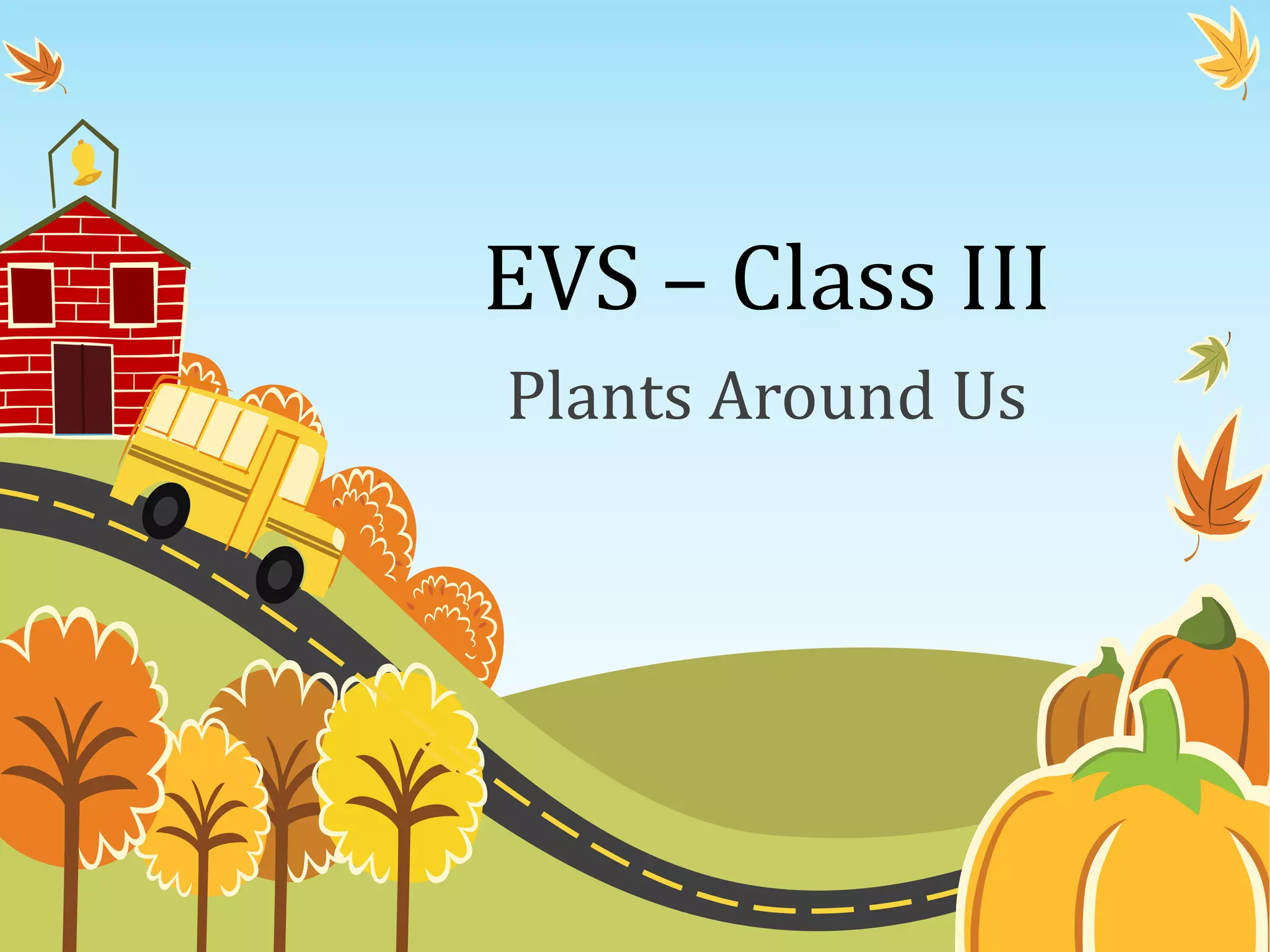 Environmental Science (EVS) : Plants Around Us (Class III) | PDF