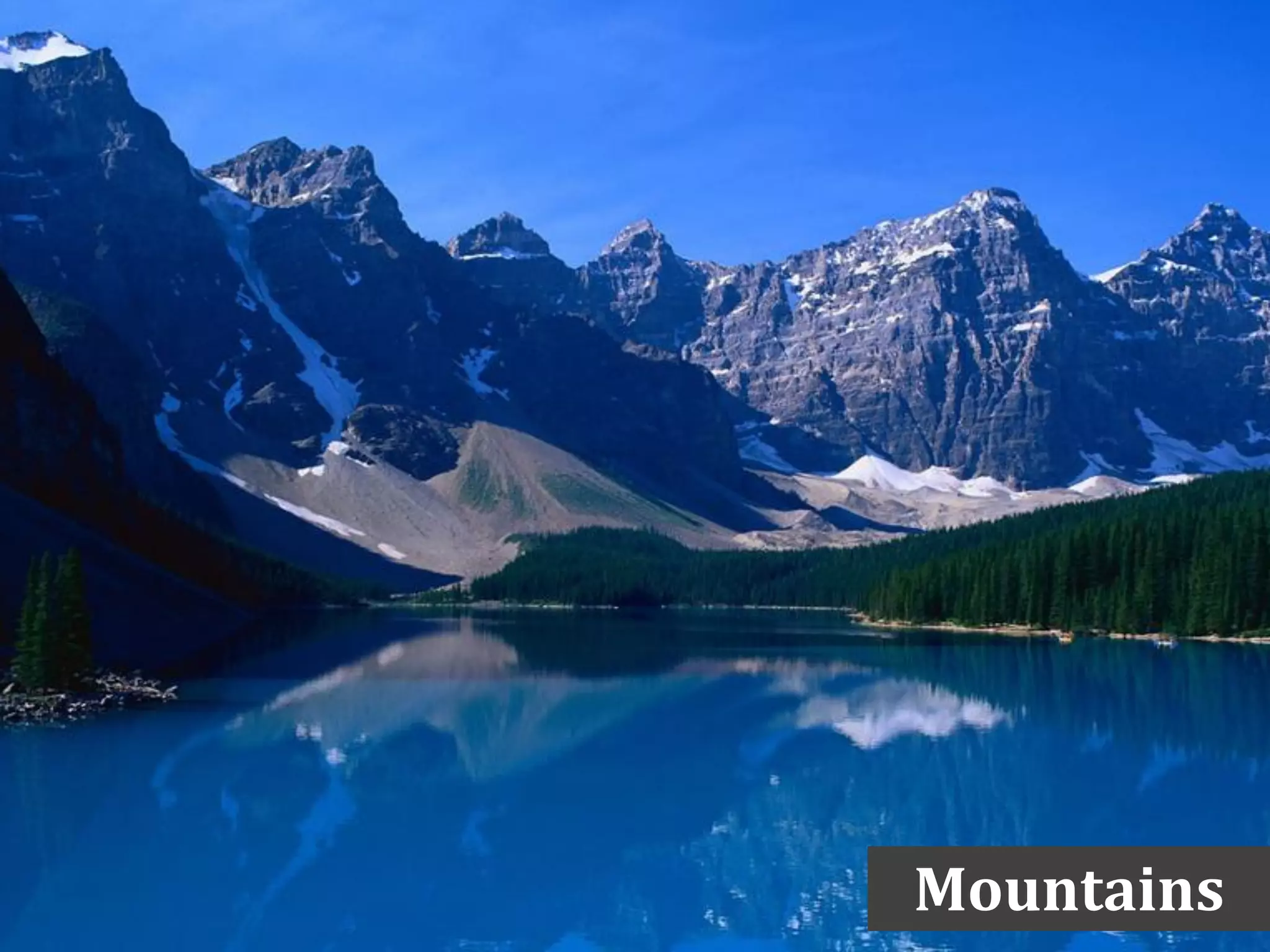 Environmental Science (EVS) : Plants Around Us (Class III) | PDF