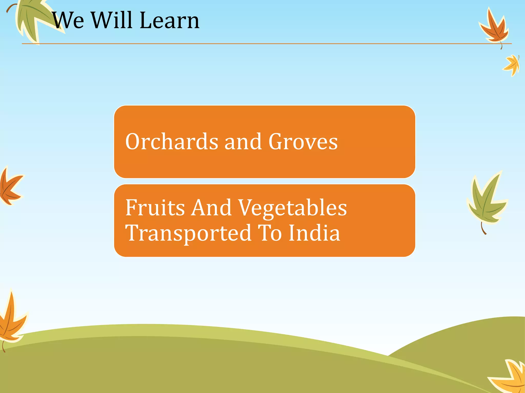 Environmental Science (EVS) : Plants Around Us (Class III) | PDF