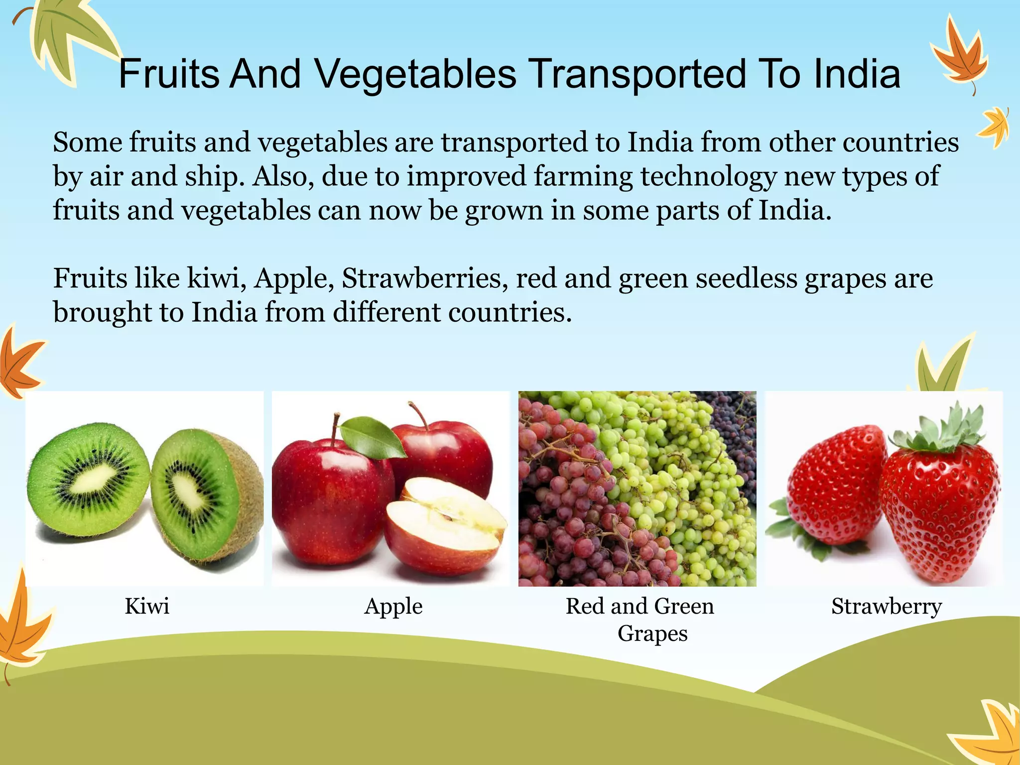 Environmental Science (EVS) : Plants Around Us (Class III) | PDF