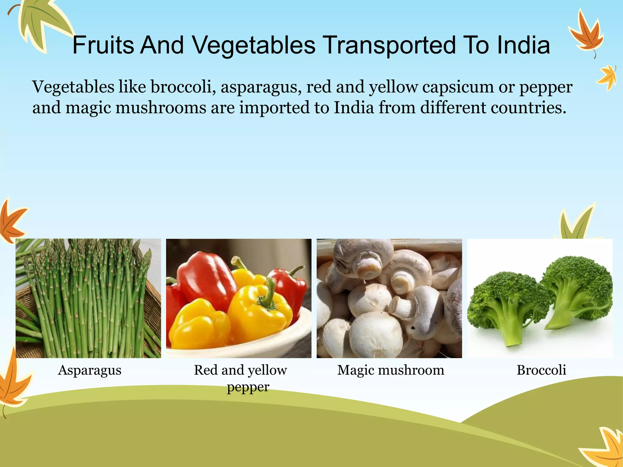 Environmental Science (EVS) : Plants Around Us (Class III) | PDF