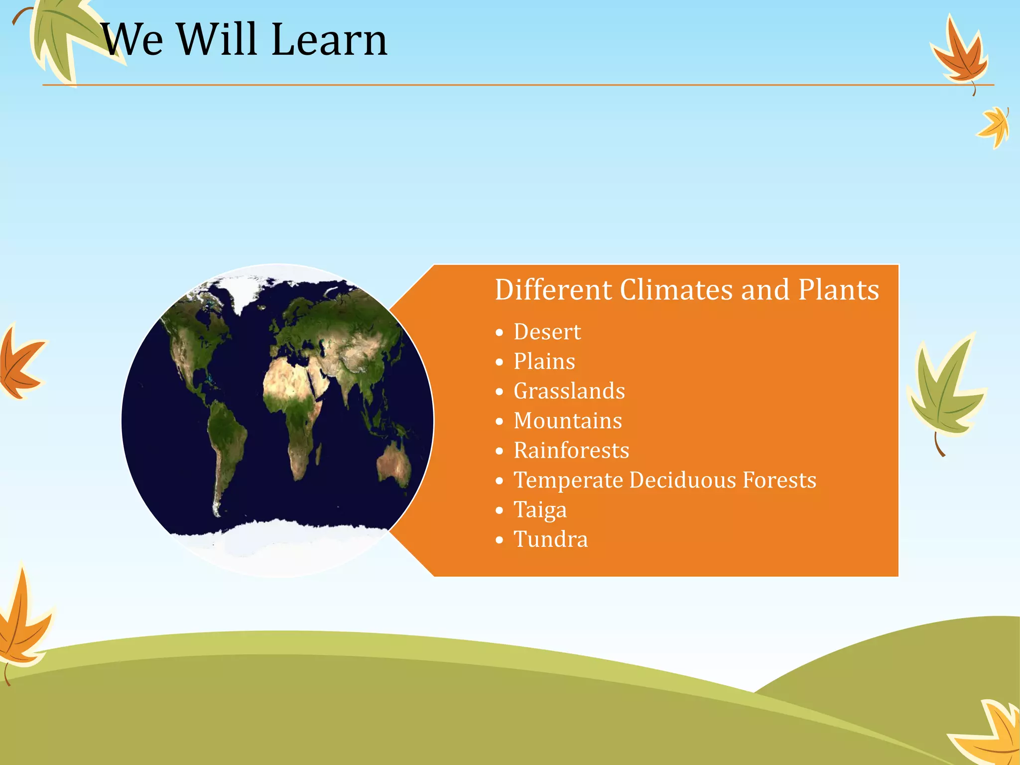 Environmental Science (EVS) : Plants Around Us (Class III) | PDF