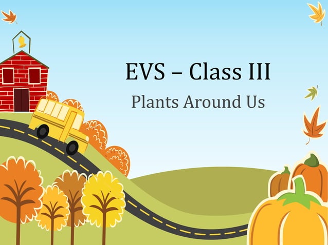Environmental Science (EVS) : Plants Around Us (Class III) | PDF | Gardening | Home & Garden