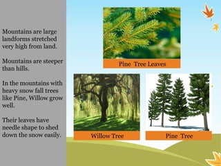 Environmental Science (EVS) : Plants Around Us (Class III) | PDF