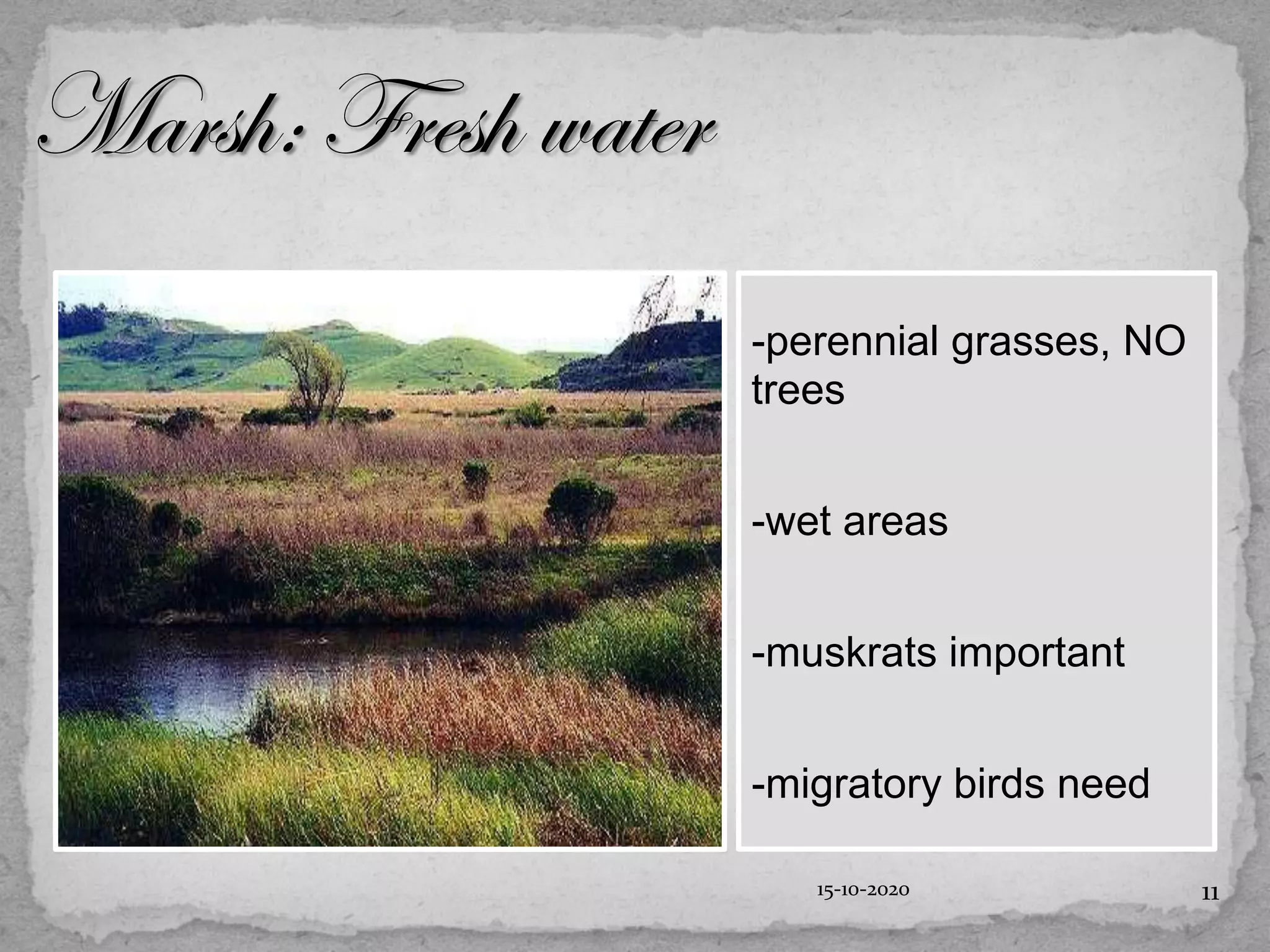 Wet land ecosystem: Introduction, Welfare, Classification, Wildlife ...