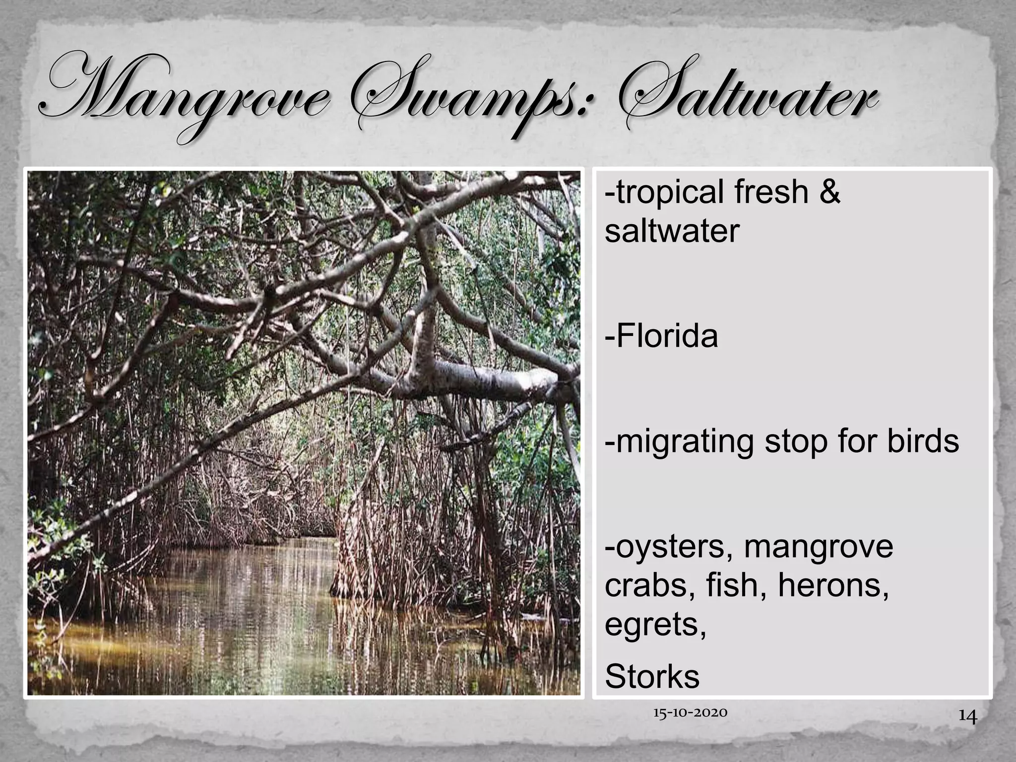 Wet land ecosystem: Introduction, Welfare, Classification, Wildlife ...