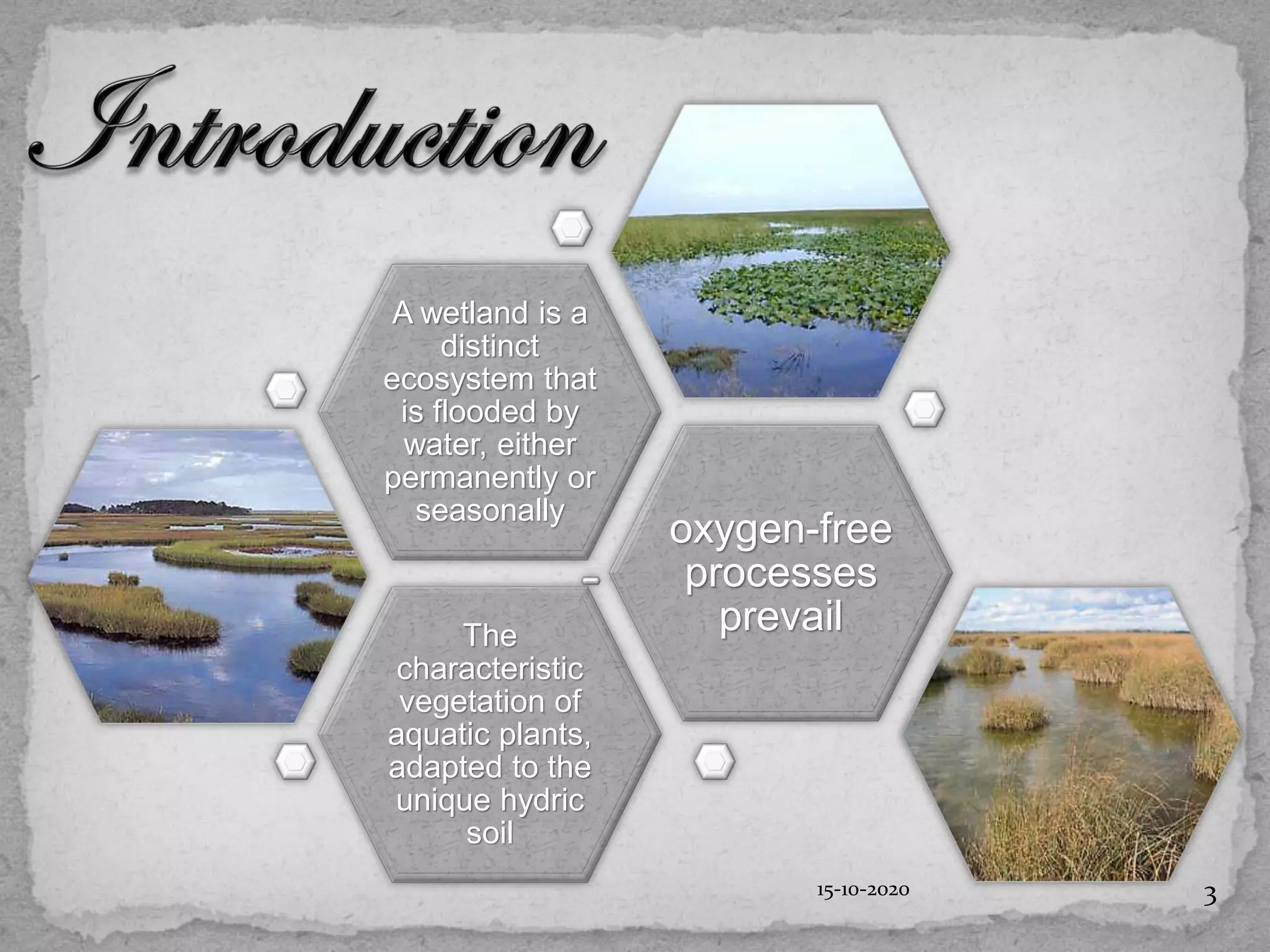 Wet land ecosystem: Introduction, Welfare, Classification, Wildlife ...