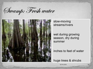 Wet land ecosystem: Introduction, Welfare, Classification, Wildlife ...