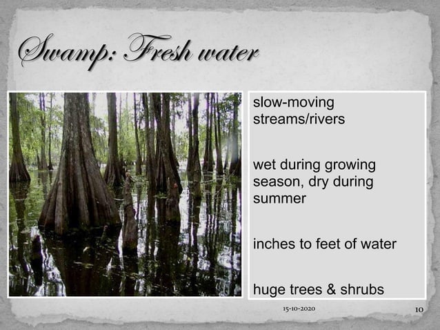 Wet land ecosystem: Introduction, Welfare, Classification, Wildlife ...