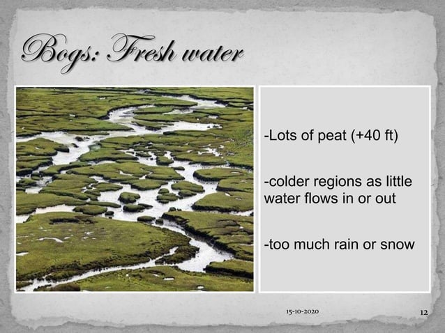 Wet land ecosystem: Introduction, Welfare, Classification, Wildlife ...