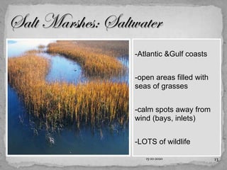 Wet land ecosystem: Introduction, Welfare, Classification, Wildlife ...