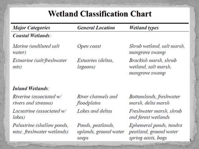 Wet land ecosystem: Introduction, Welfare, Classification, Wildlife ...