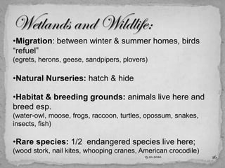 Wet land ecosystem: Introduction, Welfare, Classification, Wildlife ...