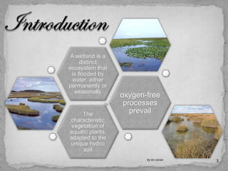 Wet land ecosystem: Introduction, Welfare, Classification, Wildlife ...