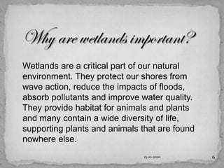 Wet land ecosystem: Introduction, Welfare, Classification, Wildlife ...