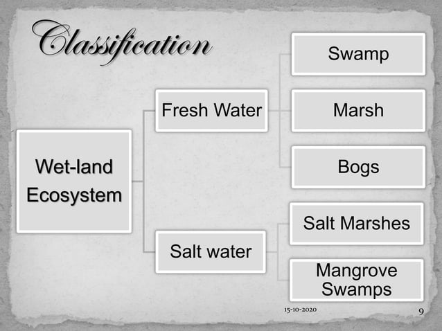 Wet land ecosystem: Introduction, Welfare, Classification, Wildlife ...