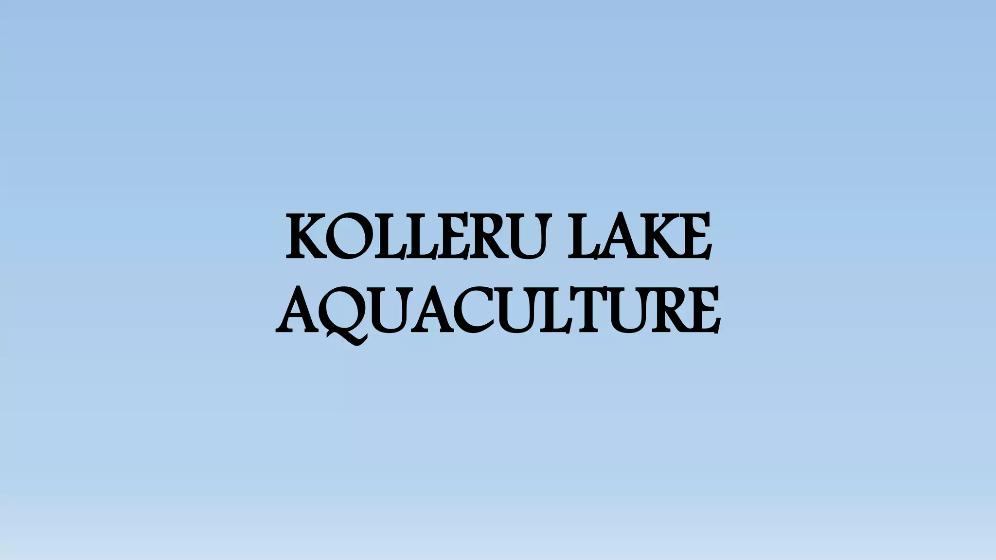 Kolleru lake aquaculture | PPTX