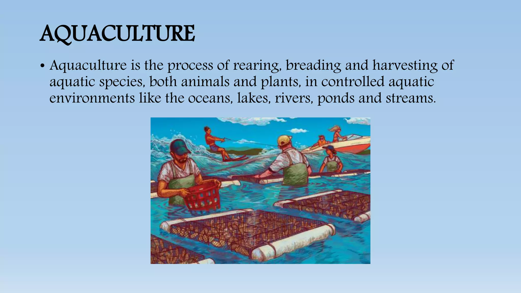 Kolleru lake aquaculture | PPTX