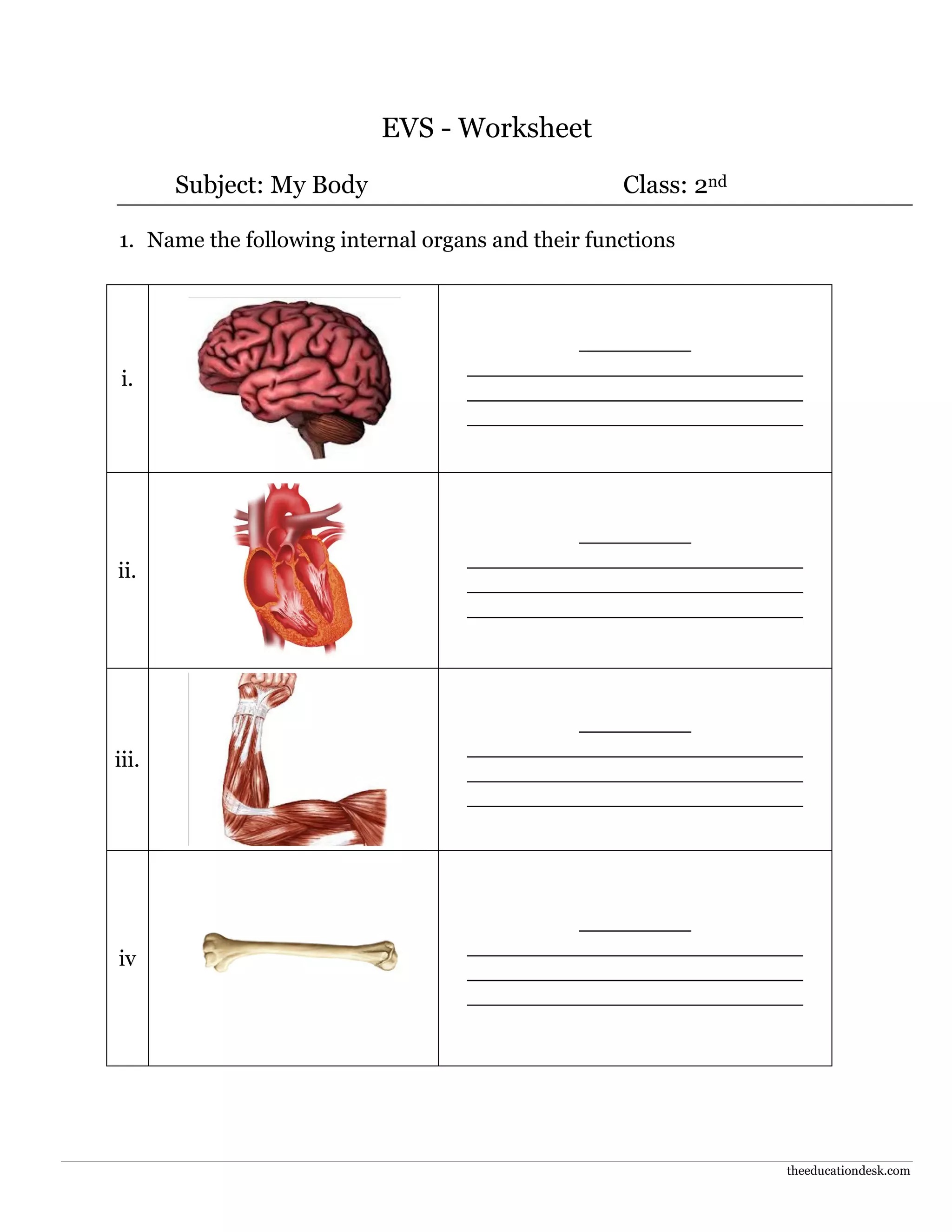 Environmental Science (EVS) : Body Parts Worksheet (Class II) | PDF