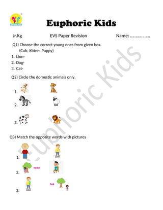 exam paper for preschool kids EVS paper.docx