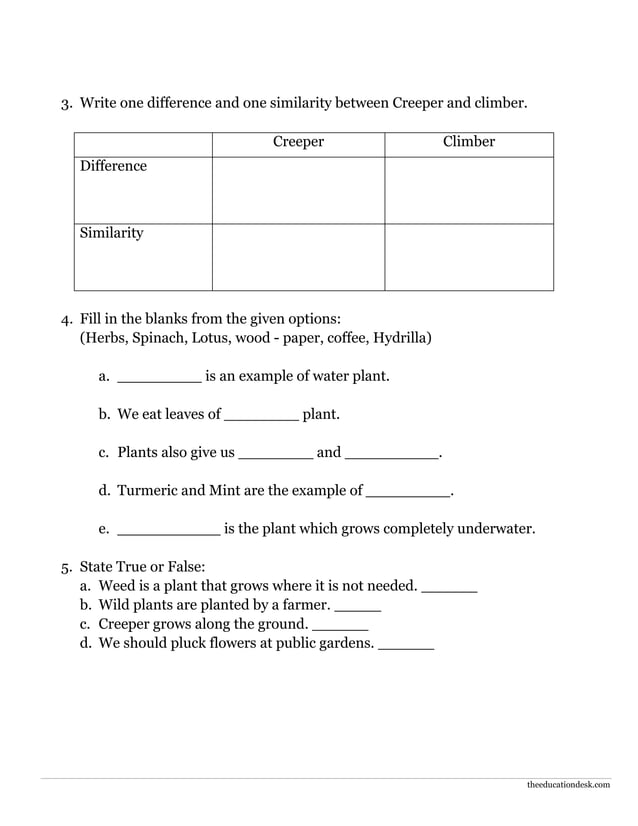 Environmental Science (EVS) : Plants Worksheet (Class II) | PDF ...