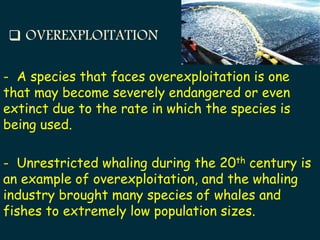 EVS PPT - ENDANGERED SPECIES | PPTX