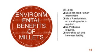 MILLETS | PPTX