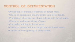 Forest and Water Resources | PPTX