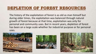 Forest and Water Resources | PPTX